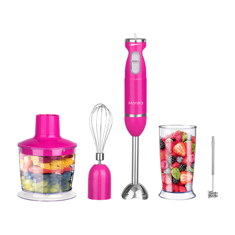 5IN 1 800W Stick Blender Kit – Monika - Gift Ideas